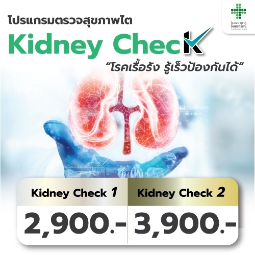 Program Kidney Check | Intrarat Hospital